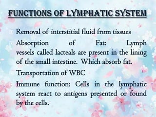lymphatic system-converted.pdf