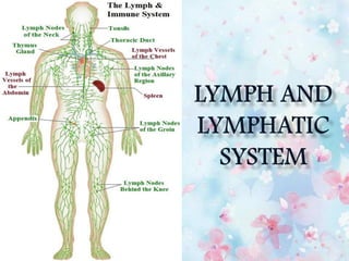 lymphatic system-converted.pdf