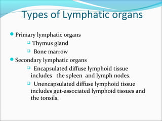 Lymphatic system (1) | PPT
