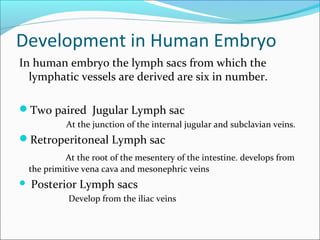 Lymphatic system (1) | PPT