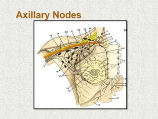 lymphatic_system | PPT | Free Download