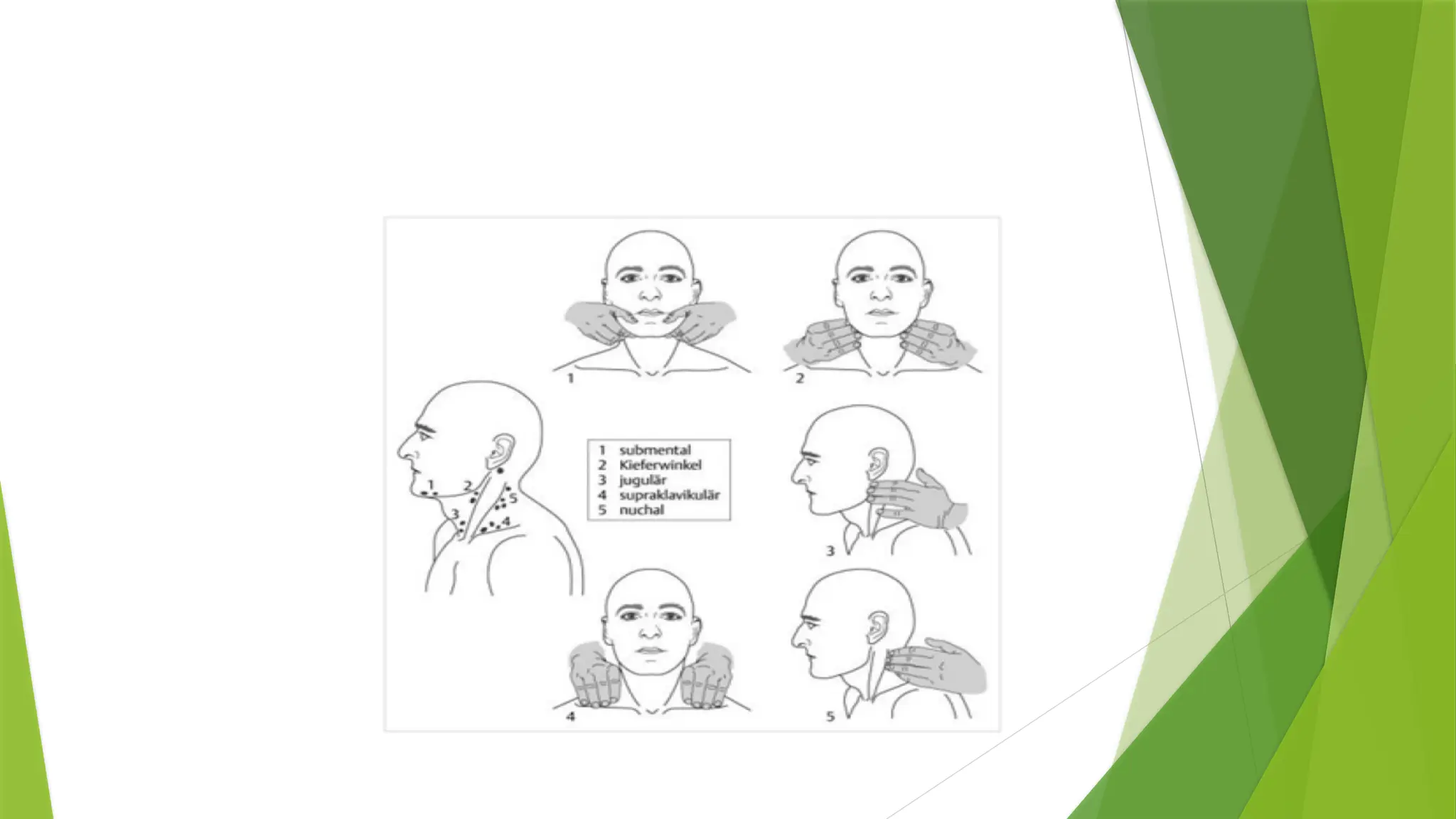 Lymphatic system of orofacial region 1st BDS.pptx