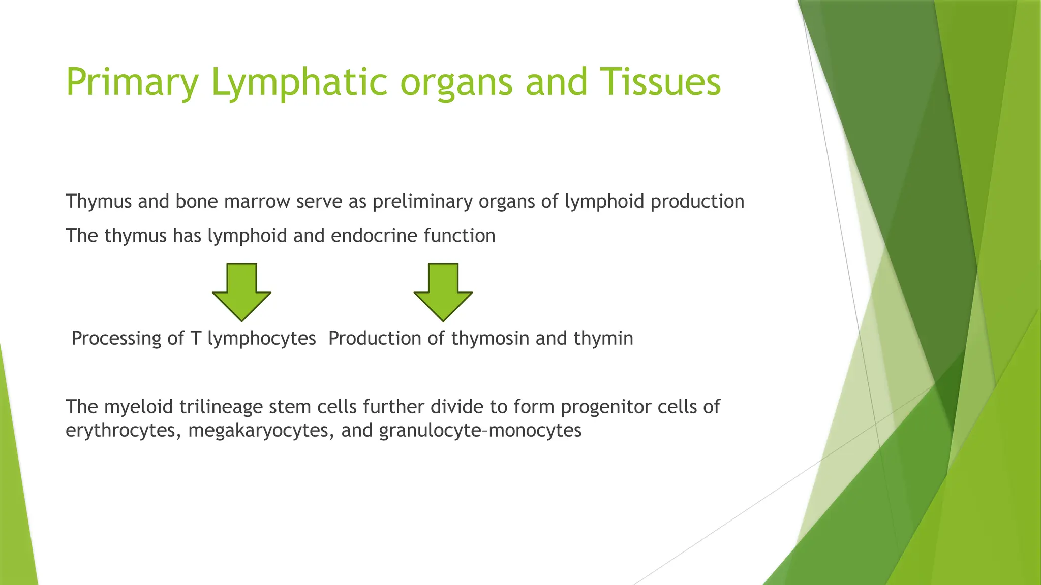 Lymphatic system of orofacial region 1st BDS.pptx
