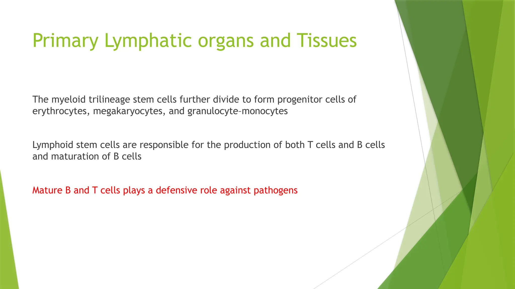 Lymphatic system of orofacial region 1st BDS.pptx