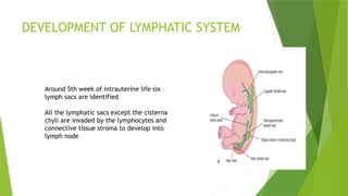 Lymphatic system of orofacial region 1st BDS.pptx