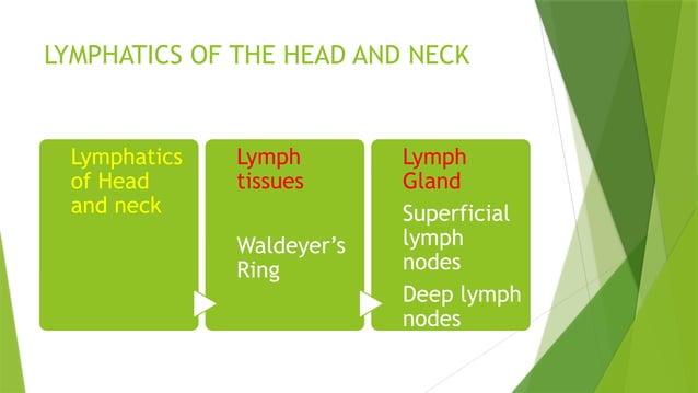 Lymphatic system of orofacial region 1st BDS.pptx | Ear, Nose and ...
