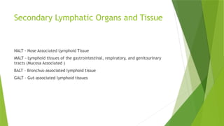 Lymphatic system of orofacial region 1st BDS.pptx