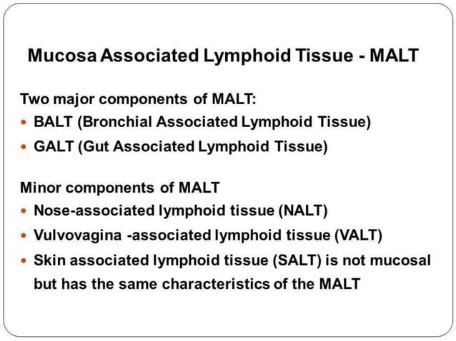 Lymphatic system- Thymus and MALT | PPTX