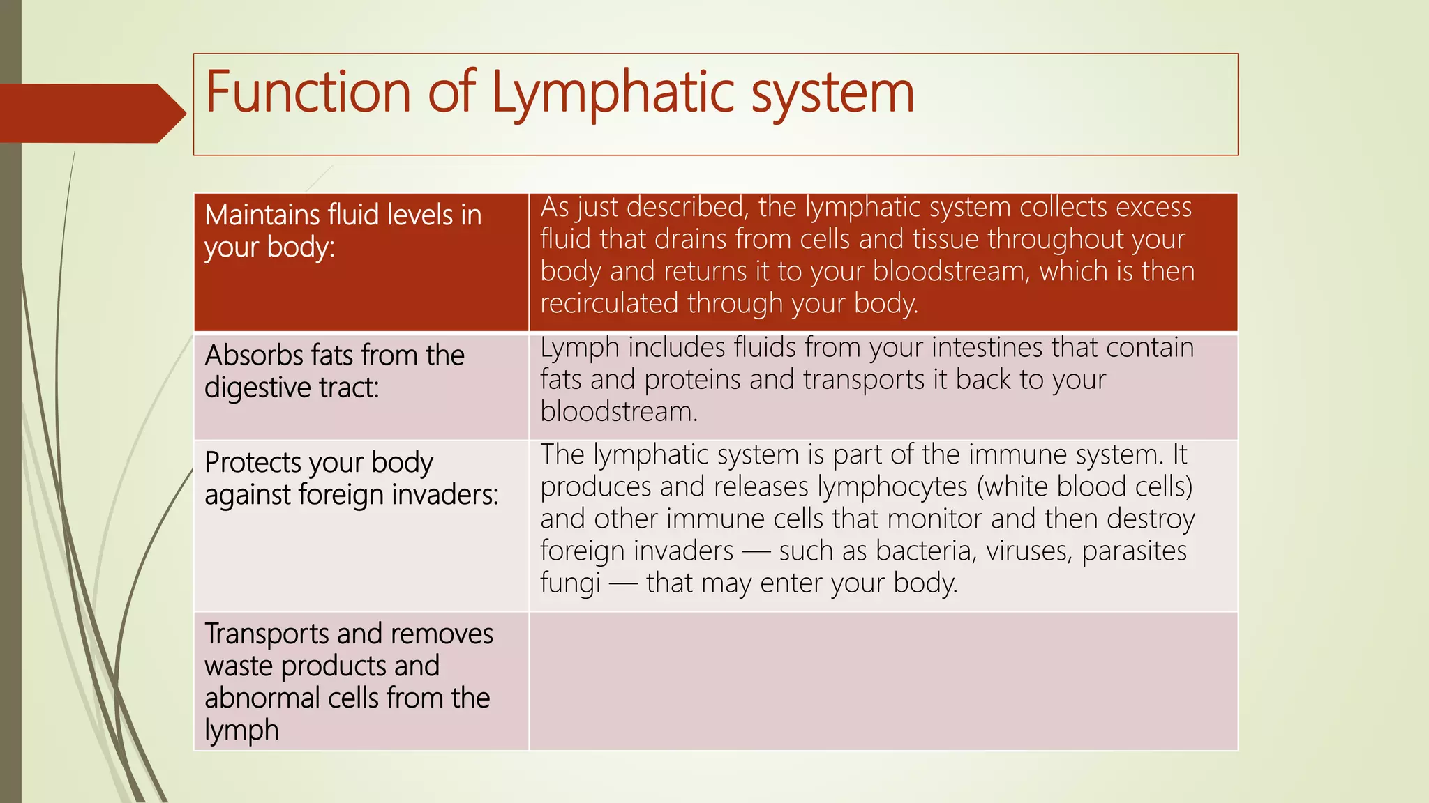 LYMPHATIC SYSTEM (INTERESTING FACTS ABOUT LYMPHATIC SYSTEM) | PPTX