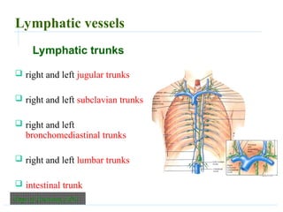 Anatomi pembahsan tentang lymphatic System (anatomy).ppt