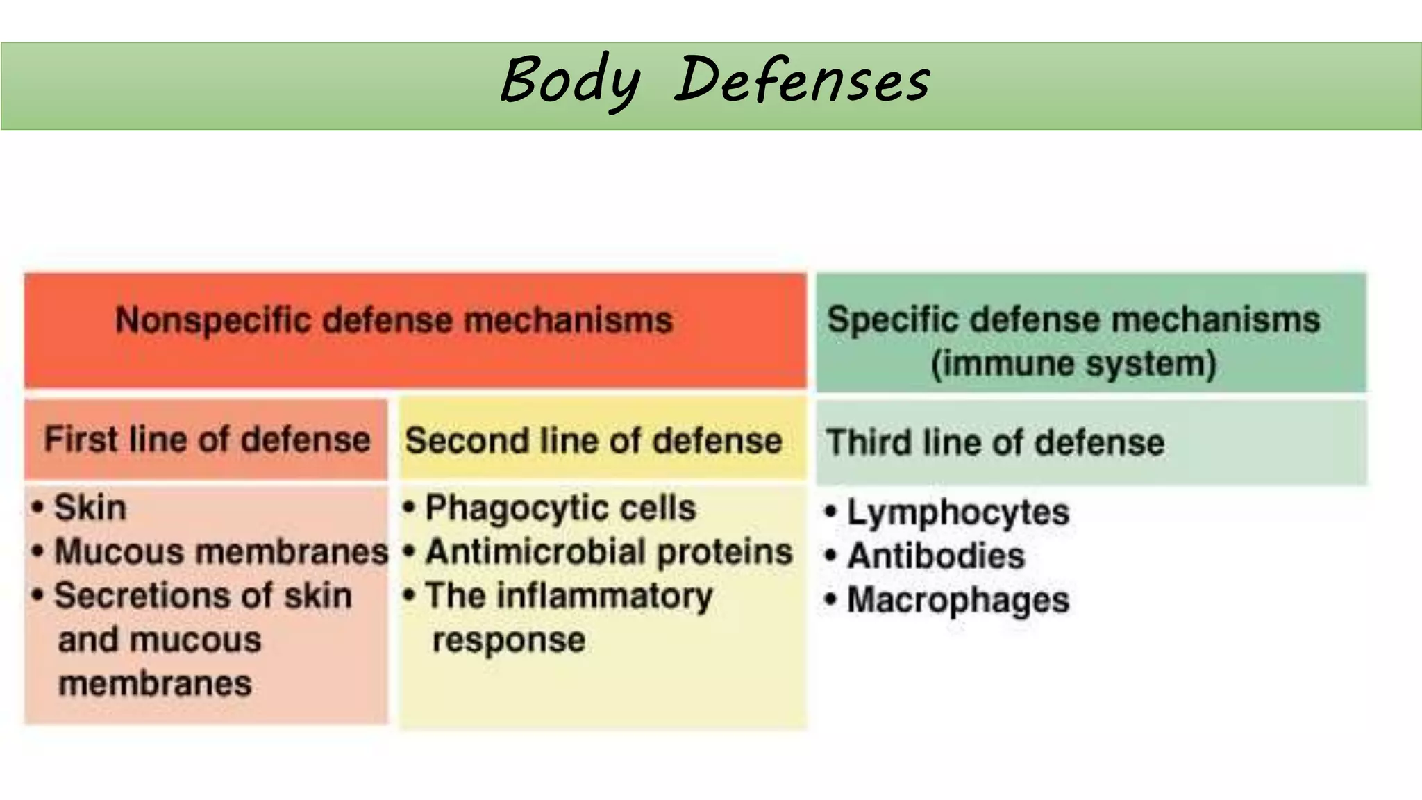 Human Anatomy and Physiology - Lymphatic system and body defenses | PPTX
