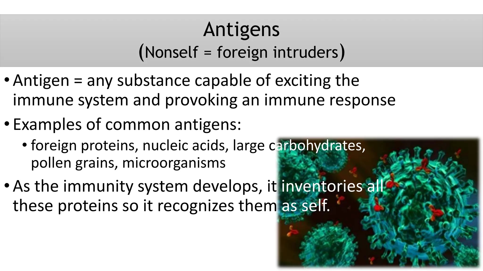 Human Anatomy and Physiology - Lymphatic system and body defenses | PPTX