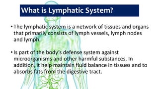 Human Anatomy and Physiology - Lymphatic system and body defenses | PPTX