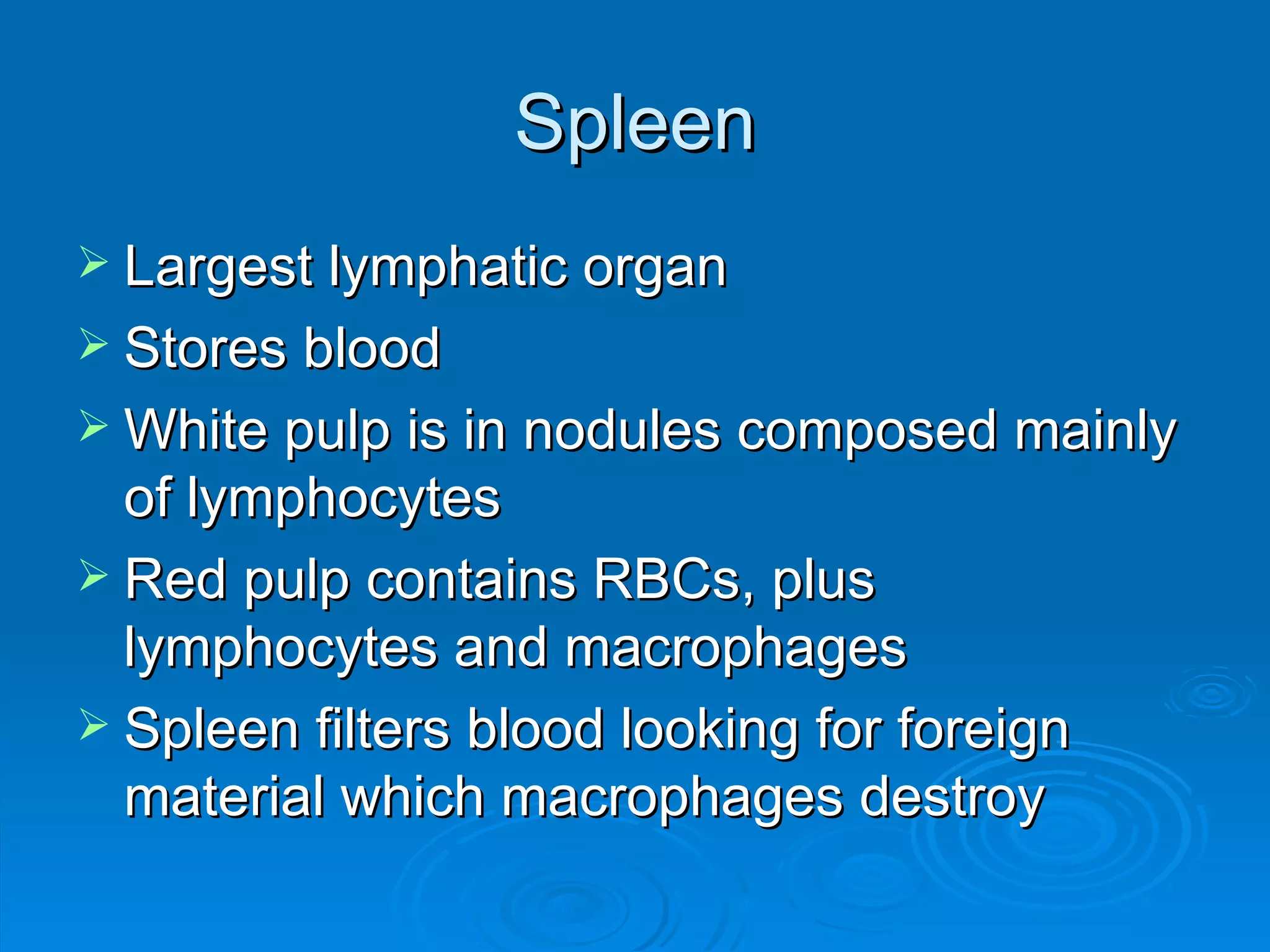 Lymphatic system and immunity | PPT
