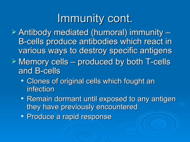 Lymphatic system and immunity | PPT