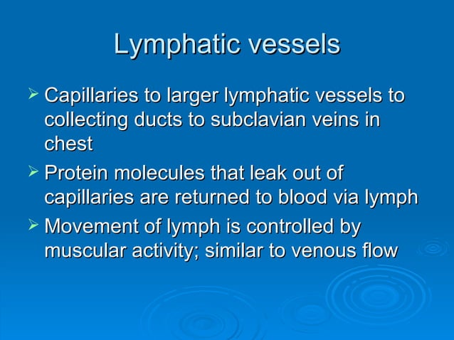 Lymphatic system and immunity | PPT