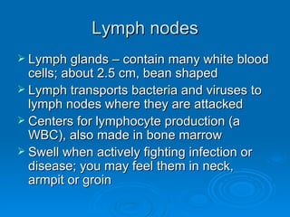 Lymphatic system and immunity | PPT
