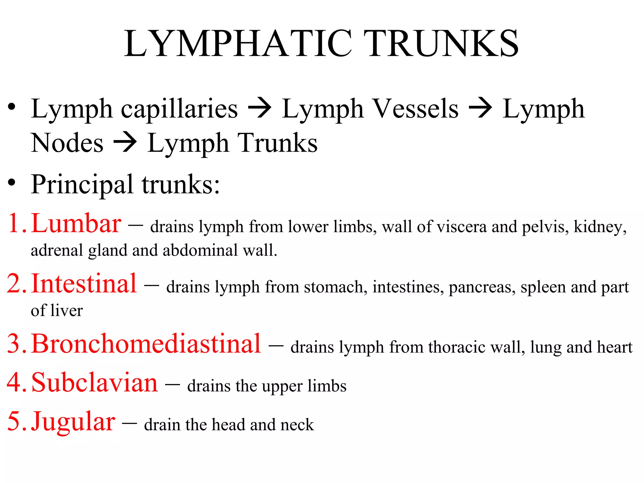 Lymphatic system and immunity | PPT