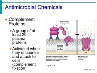 Lymphatic System and Immunity 1.ppt ………. | PPT