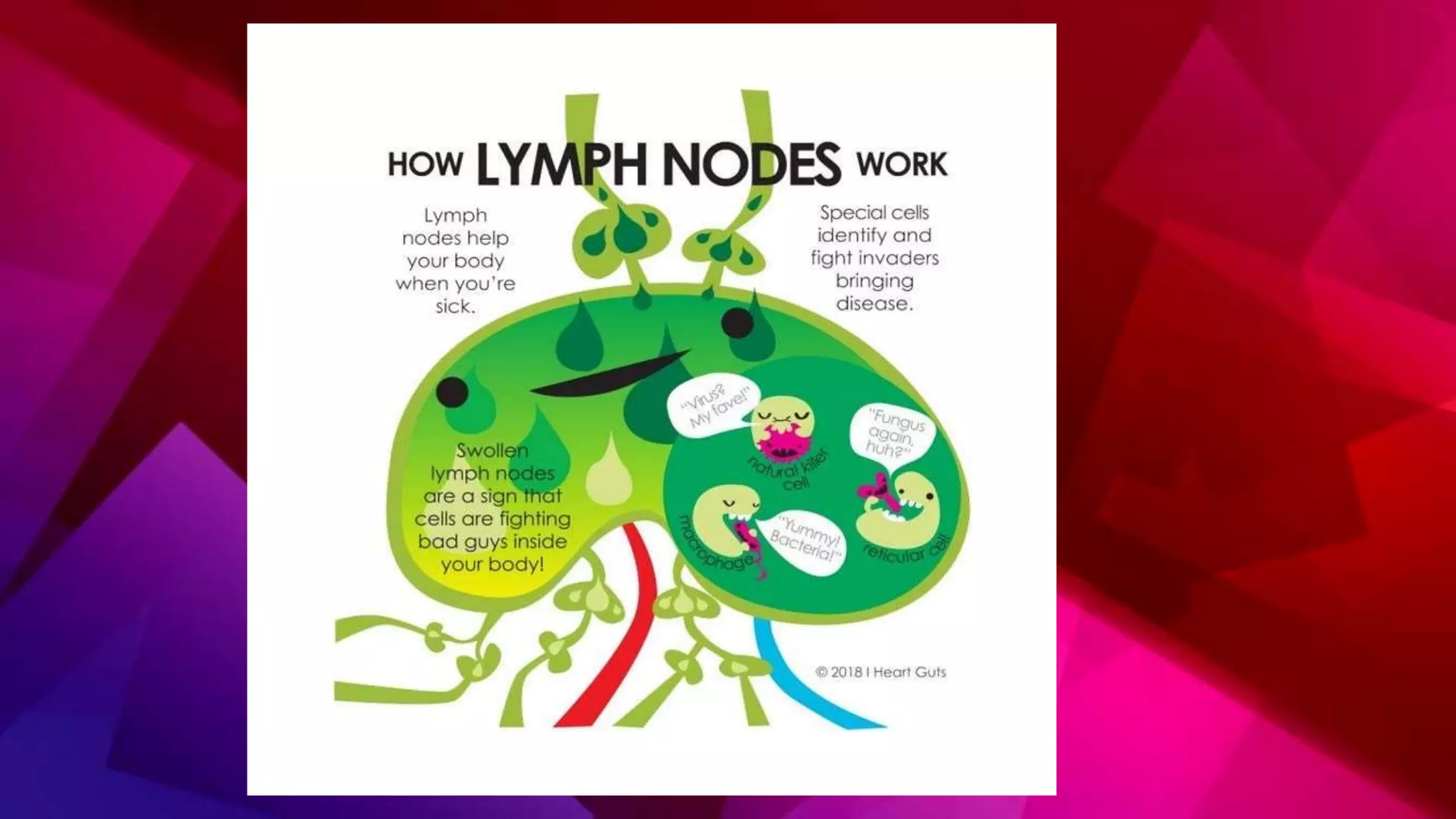 Lymphatic system and lymph | PPTX