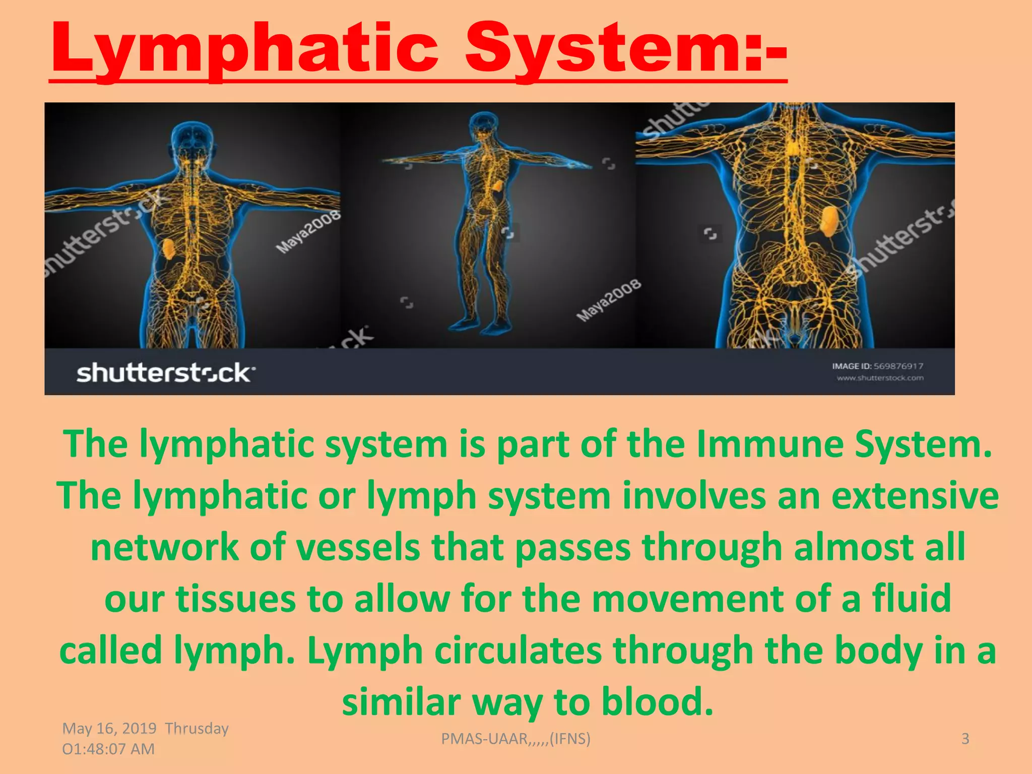 Lymphatic system and lymphatic drainage of upper limbs | PDF