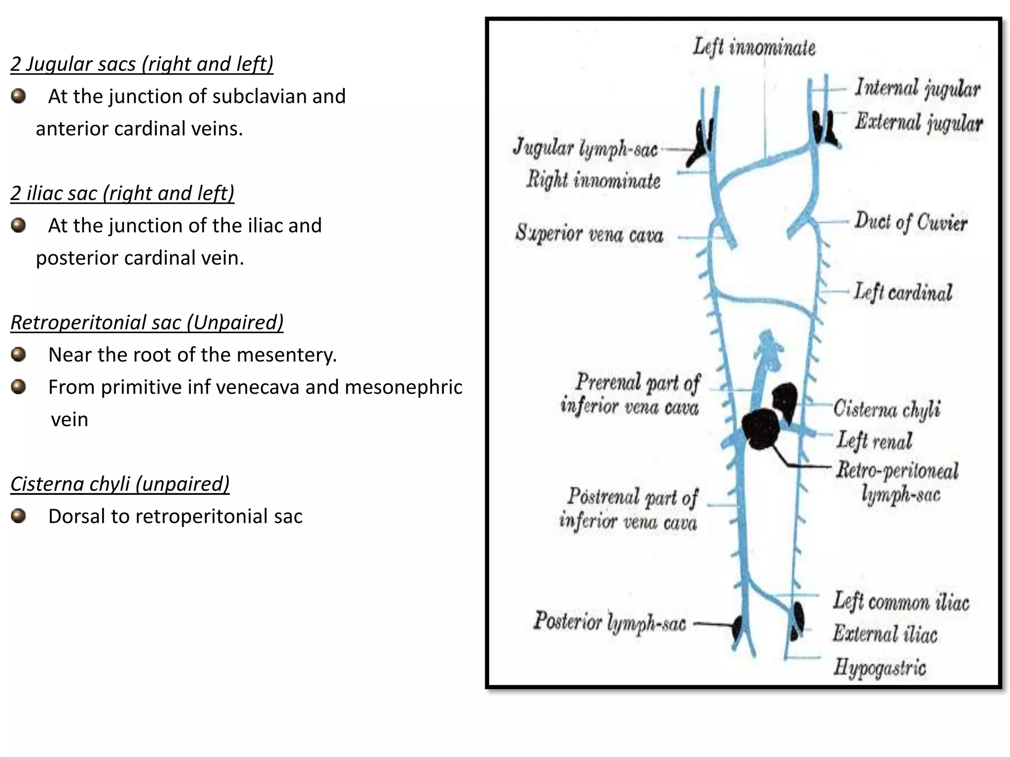 Lymphatic system [autosaved] | PPTX