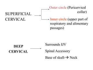 Lymphatic system [autosaved] | PPTX