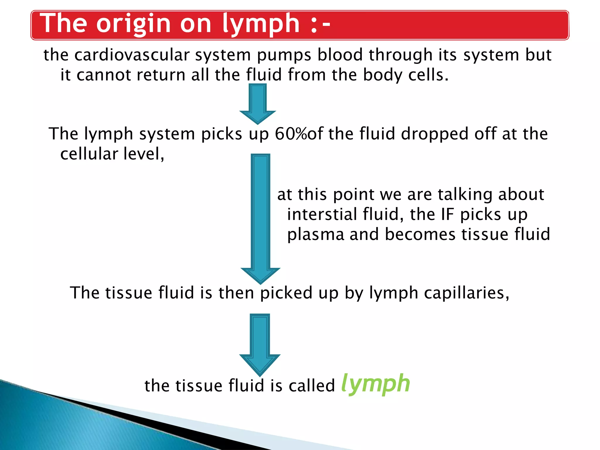 Lymphatic system by kk | PPTX