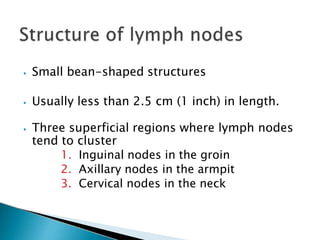 Lymphatic system by kk | PPTX