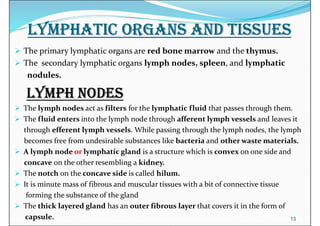 Lymphatic system | PDF