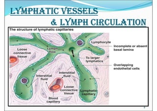 Lymphatic system | PDF