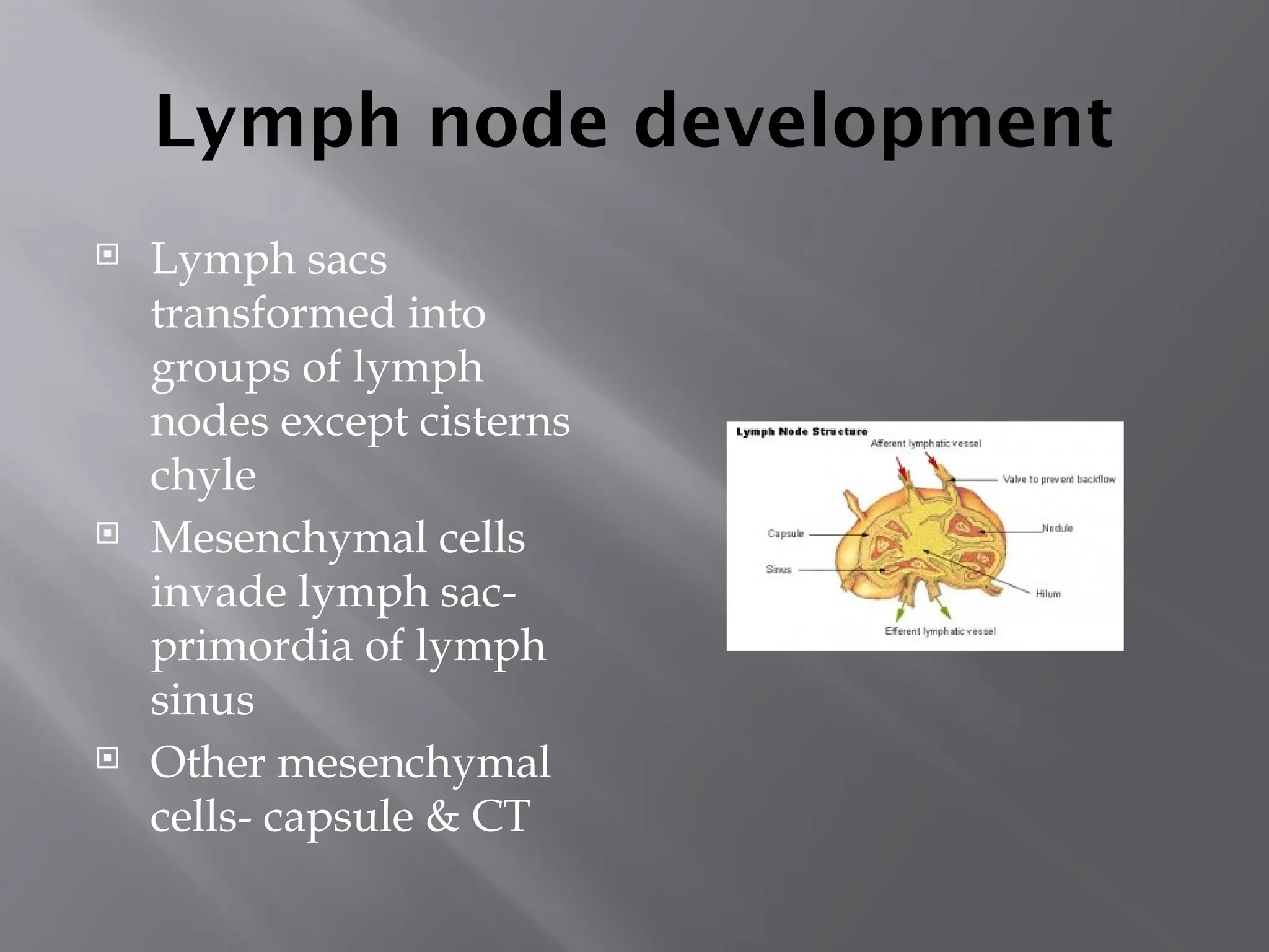 lymphatic system+ conducting system+ fetal , neonatal circulation.pptx