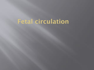 lymphatic system+ conducting system+ fetal , neonatal circulation.pptx