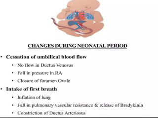 lymphatic system+ conducting system+ fetal , neonatal circulation.pptx