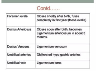 lymphatic system+ conducting system+ fetal , neonatal circulation.pptx
