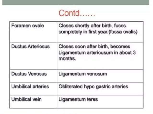 lymphatic system+ conducting system+ fetal , neonatal circulation.pptx
