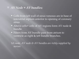 lymphatic system+ conducting system+ fetal , neonatal circulation.pptx