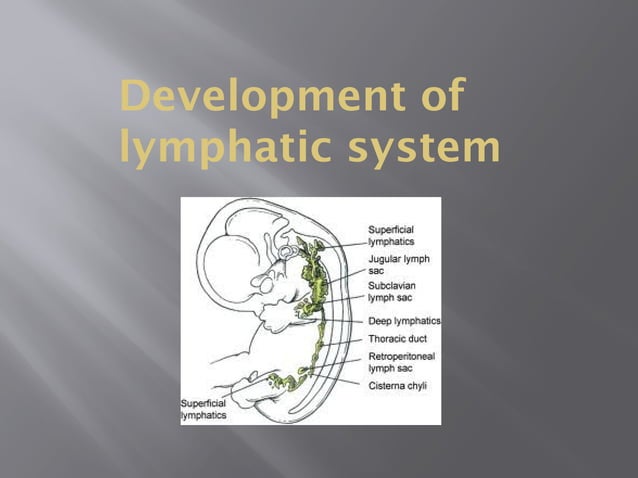 lymphatic system+ conducting system+ fetal , neonatal circulation.pptx