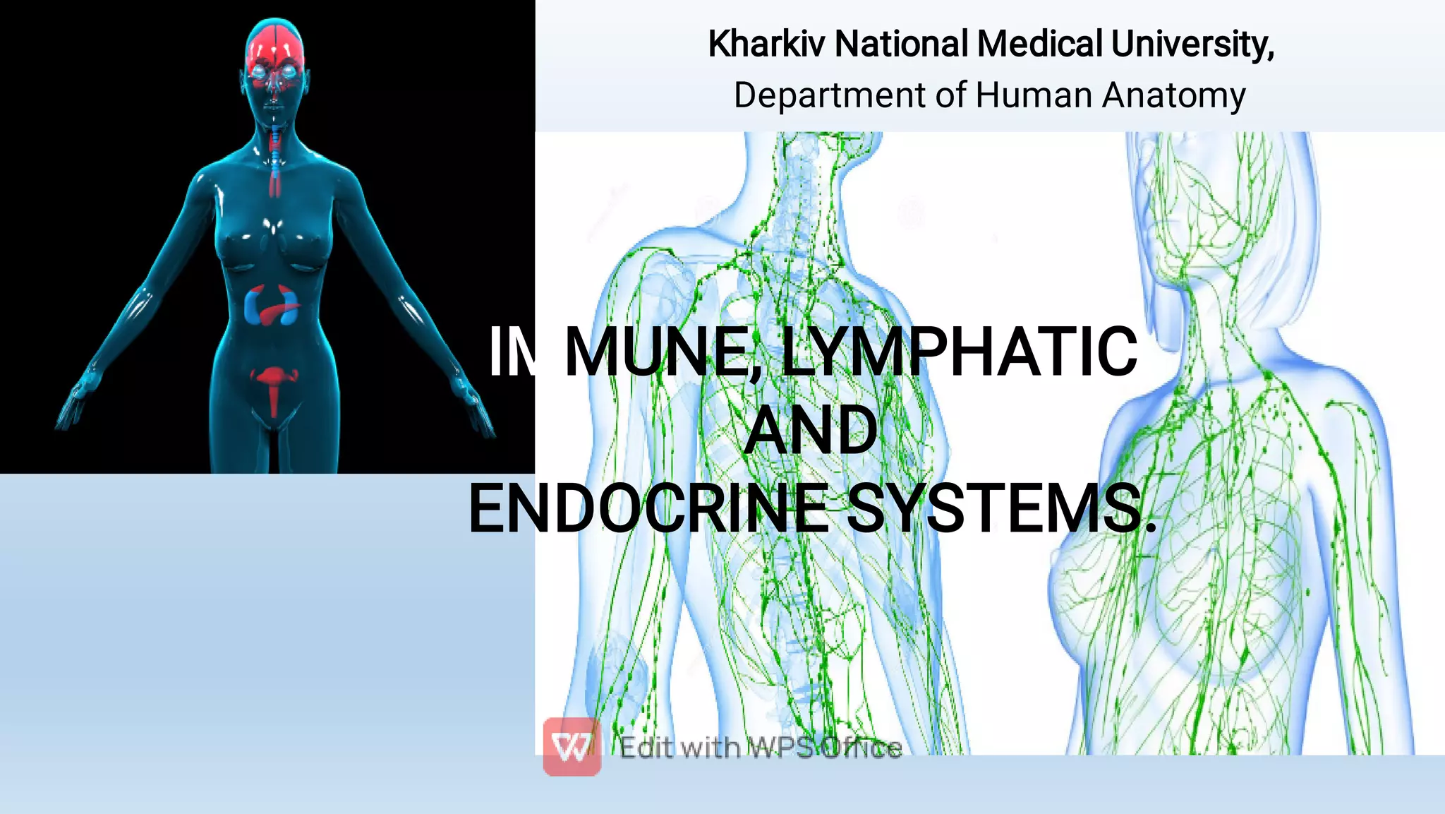 lymphatic system_dentistry 24.12.19.pdf