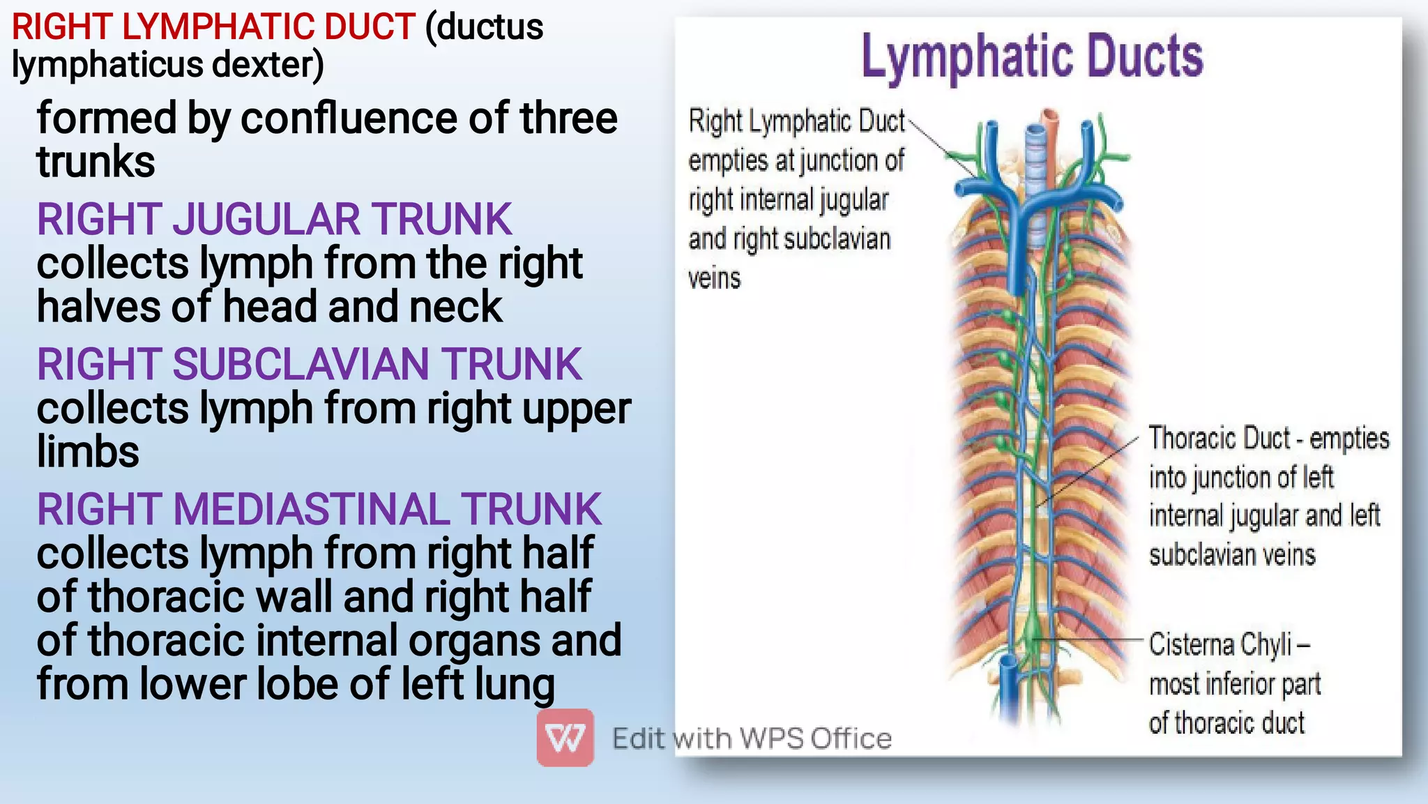 lymphatic system_dentistry 24.12.19.pdf