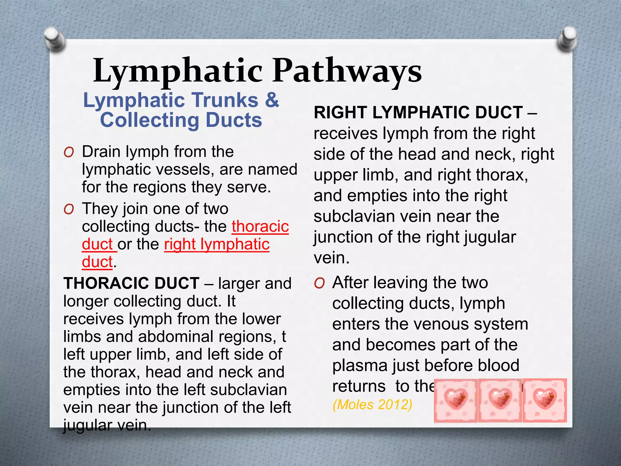 Lymphatic system & Immunity | PPT