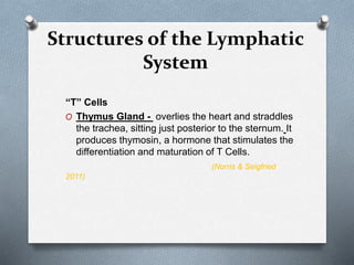 Lymphatic system & Immunity | PPT