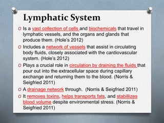 Lymphatic system & Immunity | PPT