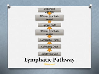 Lymphatic system & Immunity | PPT