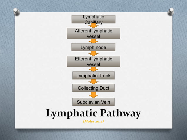 Lymphatic system & Immunity | PPT