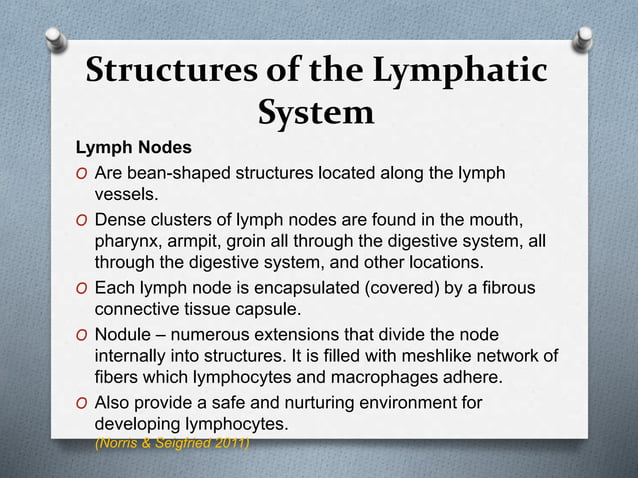 Lymphatic system & Immunity