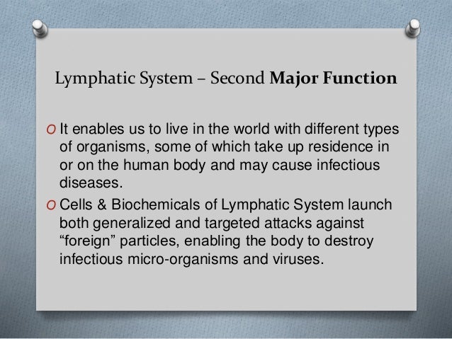 Lymphatic system & Immunity