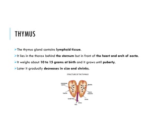 Lymphatic System | PDF
