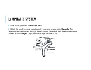Lymphatic System | PDF