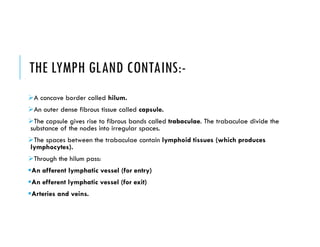 Lymphatic System | PPT